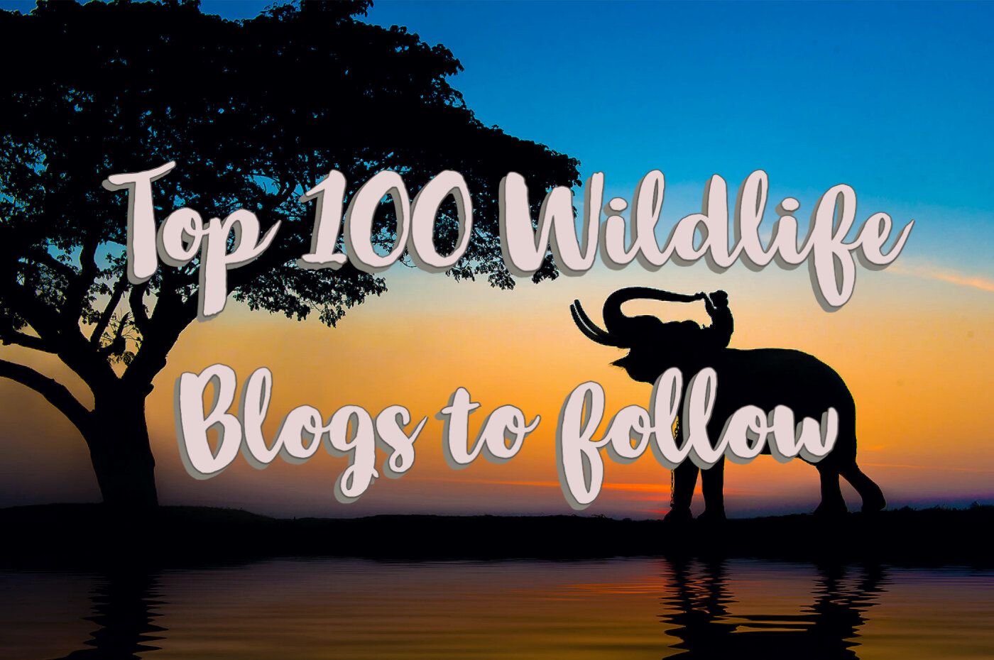 Top 100 Wildlife Blogs to follow if You’re an Enthusiast - Let's Go Corbett