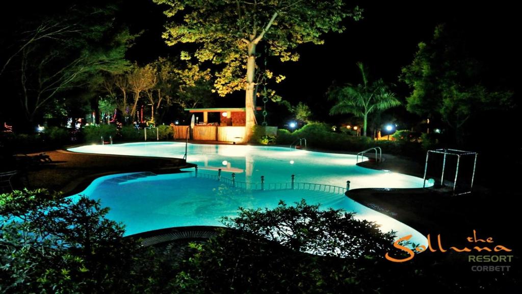 The Solluna Resort , Jim Corbett: Tantalizing Jungle feels