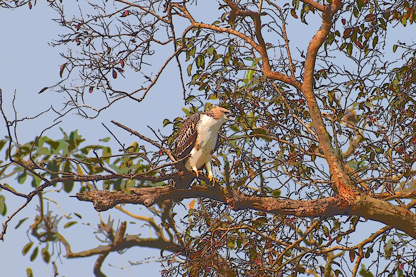 Ramnagar - Things to Do & Places to Visit - Let's Go Corbett